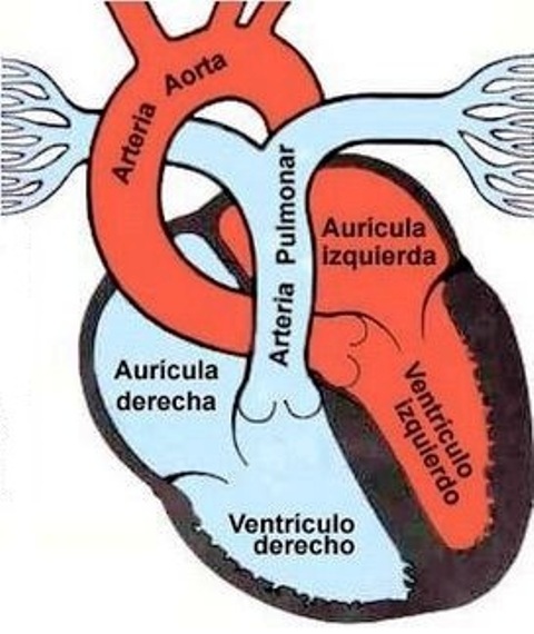 Brigada: Centro de la Construcción - Valle: mayo 2010