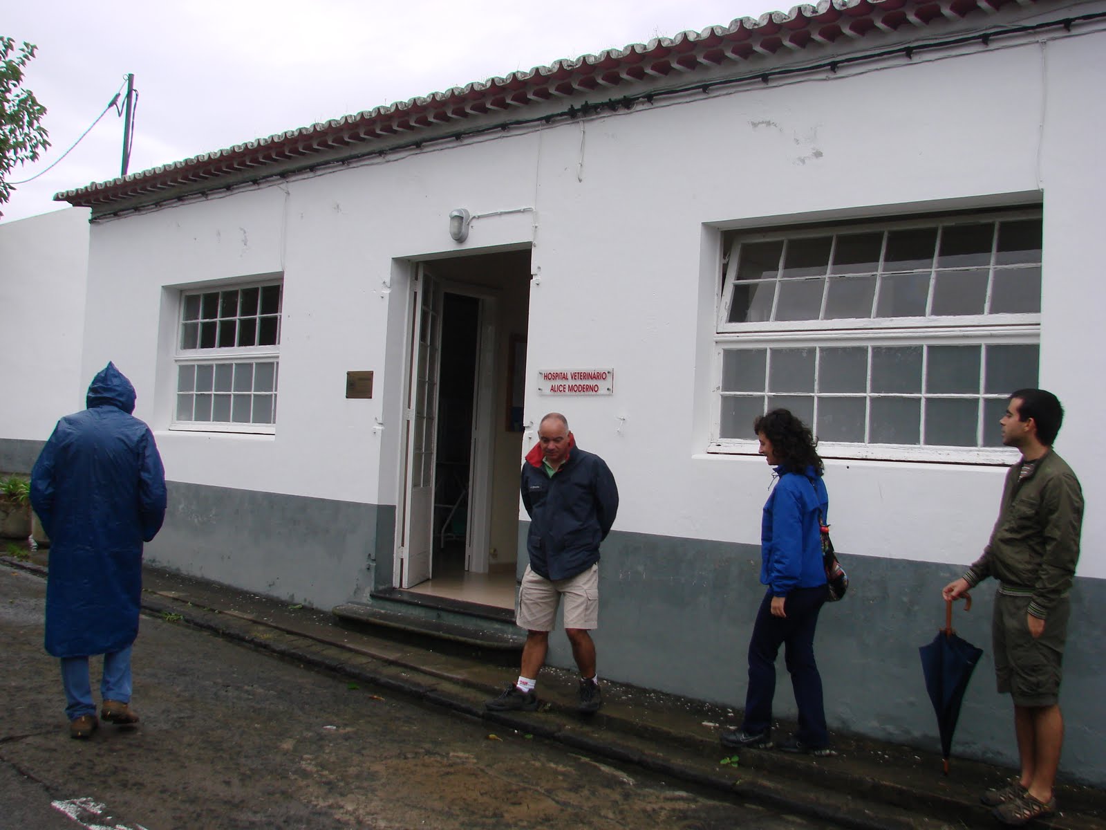 Açores Melhores...Sem Maltratos Animais: Homenagem a Alice Moderno