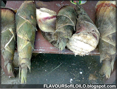 Newly harvested tambo