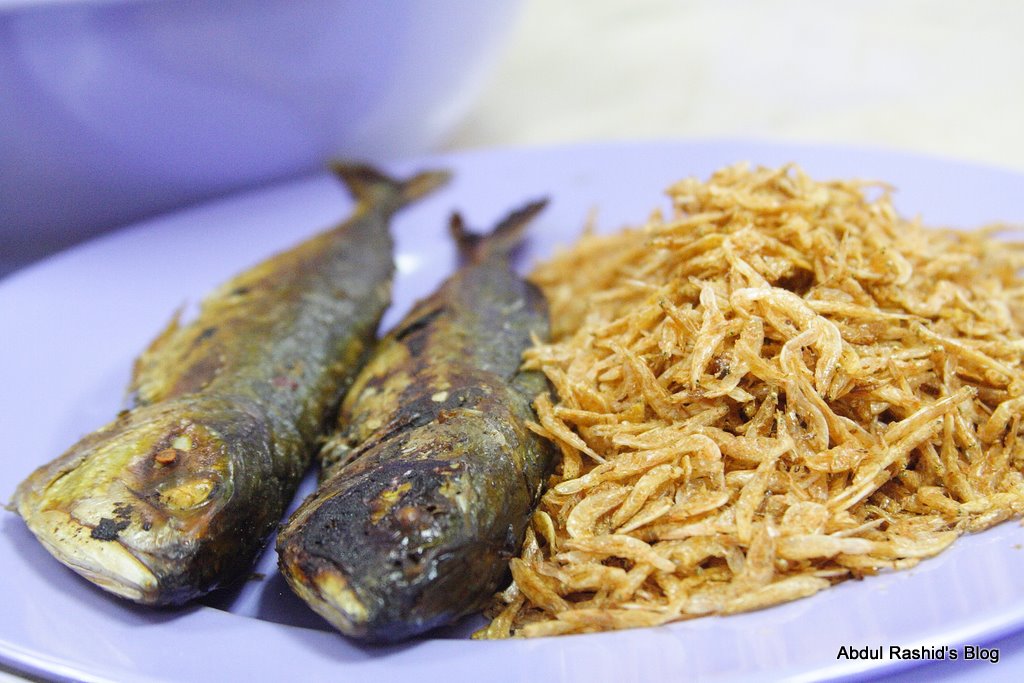 Abdul Rashid's Blog: De La Salle Primary School Pupils and Teachers ...