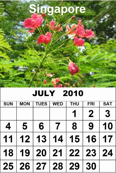 July 2010 calendar printable