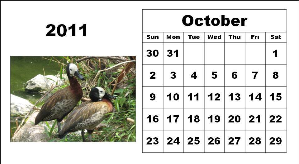 The Hollywood Ragazze: printable calendar october 2011