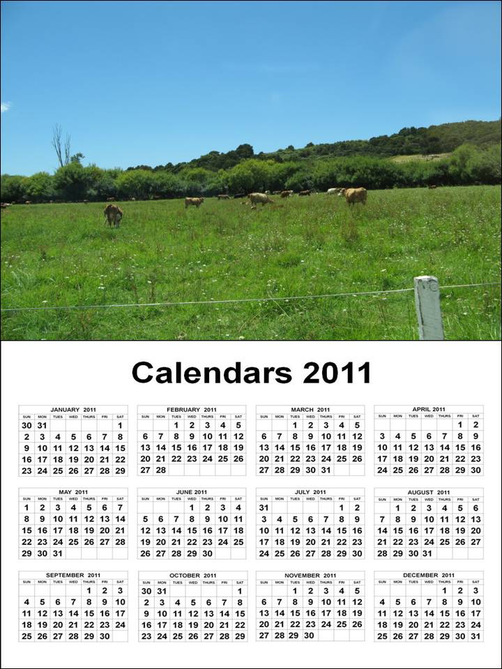 yearly calendar 2011