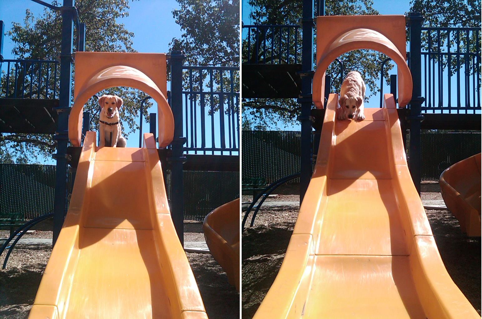 life is golden: Big Boy Slide