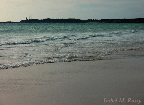 Cuaderno de Mareas: Cabo Roche y Puerto de Conil (Cádiz)