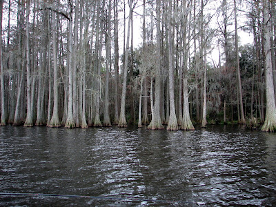 Florida Recreation: Lake Munson