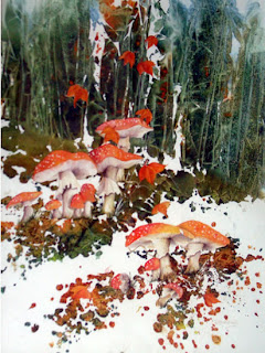 Ceramics by Miranda: Artist: Lyn Butchart