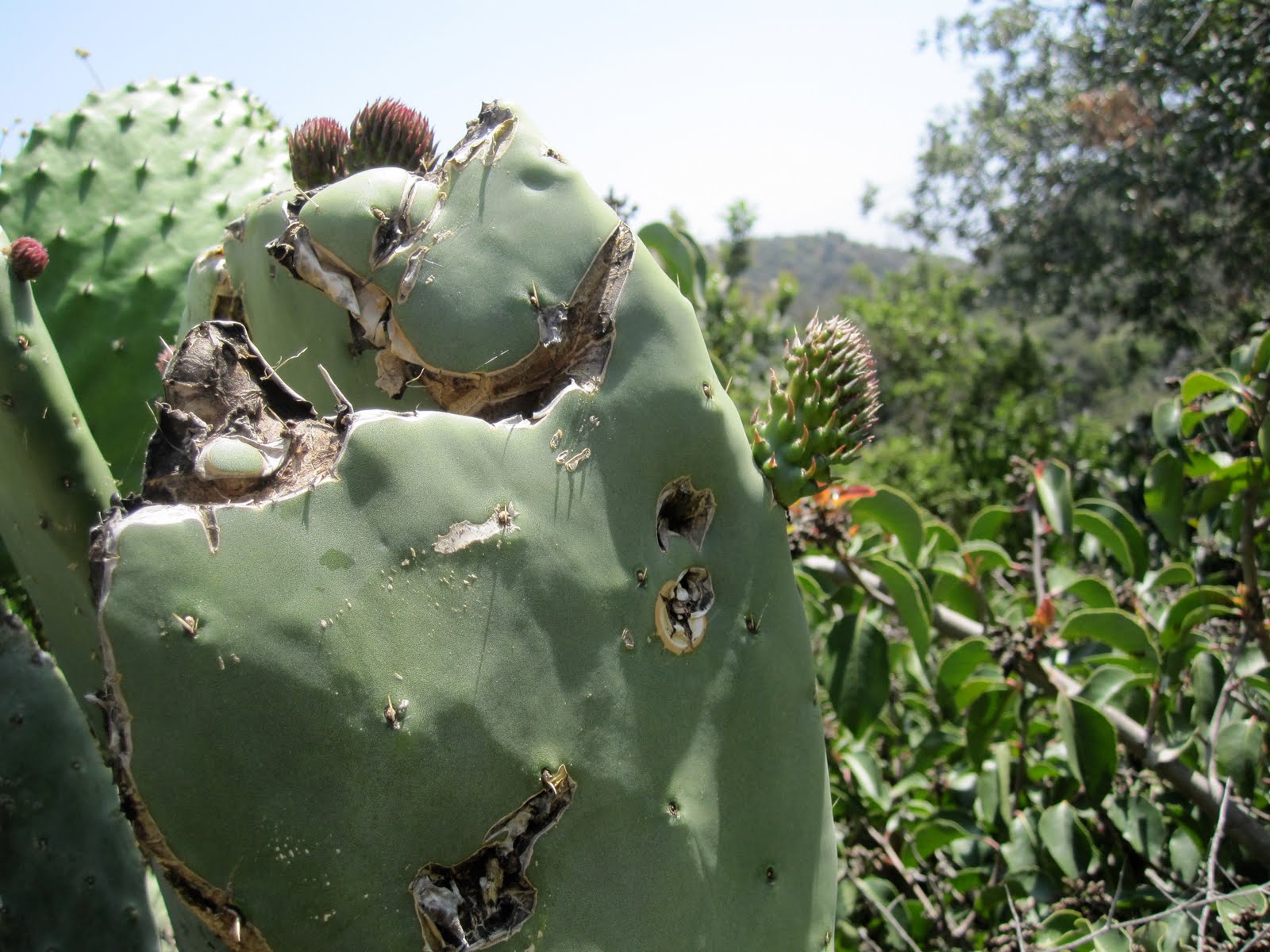 Fun Friday: Take a Color Walk - GoExploreNature.com