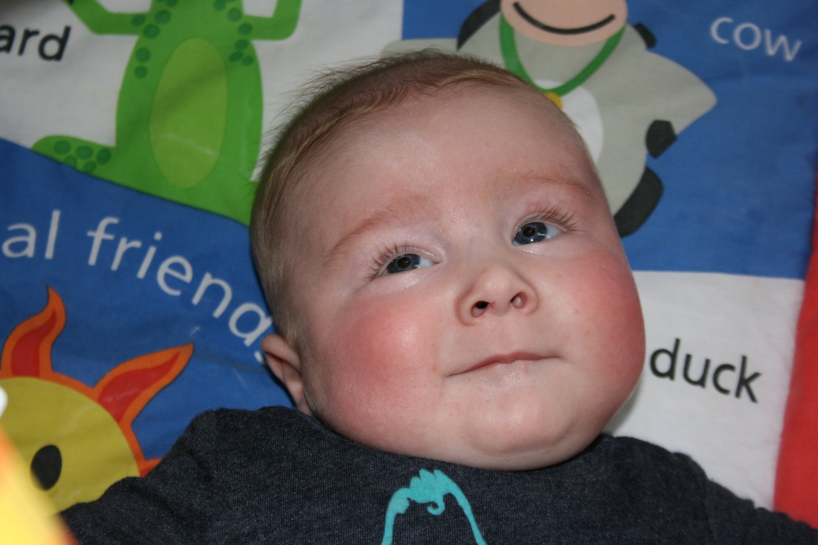 His n Hers: On Twins: Oscar's wonky head