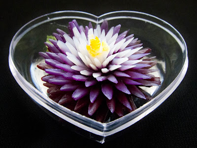 soiblossom: Prilblumen thaistyle