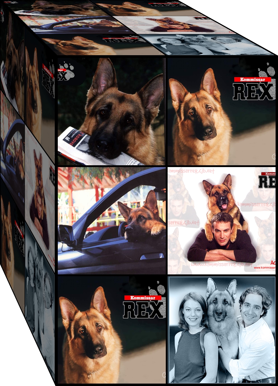 Opowieści o psach.: O filmach z udzialem psów