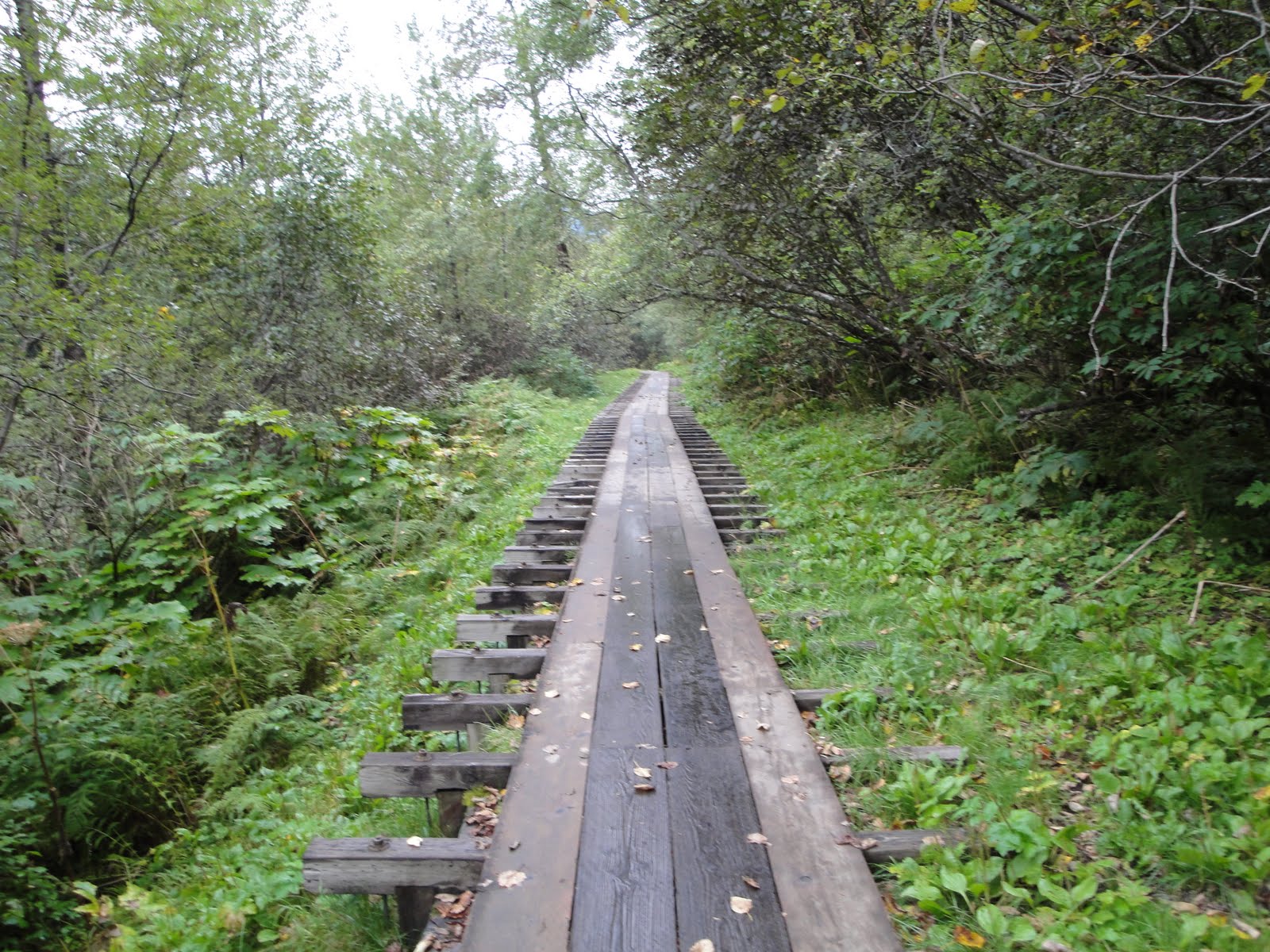 Juneau, AK, The Long Winter: The Flume Trail