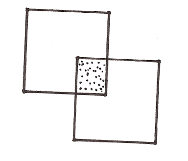 Ecocentric Design: Organization