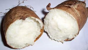 Umbi sehat, Herbal hebat: Gembili yang masih kusuka