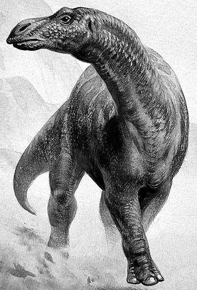 For a Point: Dino of the Week: Maiasaura