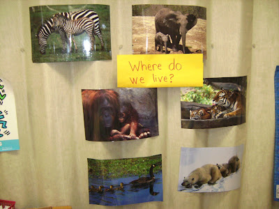 Mrs. Berry's Class: PWIM: Picture Word Inductive Model