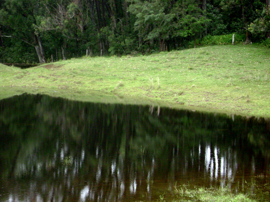 Kilauea Poetry: Waimea's Paniola Cowboys