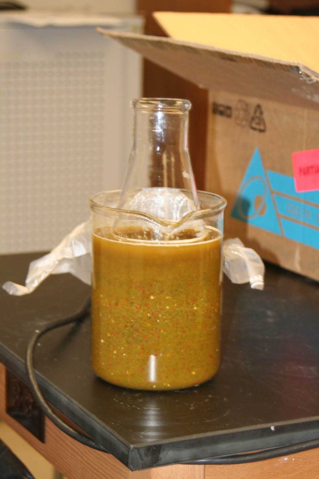 Practical Biology: science for everyone: Chili paste ferment