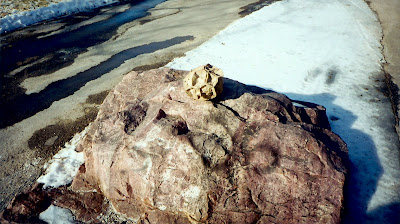Rural Kansas "Rocks" Foundation: Granite Meets Concretion, 2005