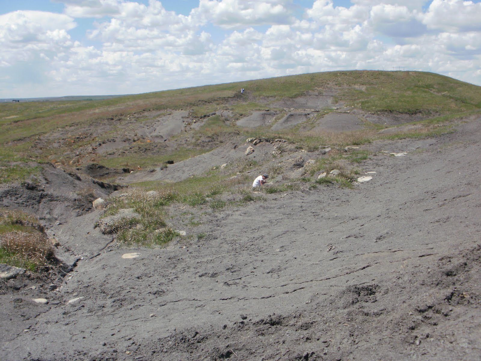 Captain 8's Foolishness: Rockhunting Season Opening Day - May 2, 2010