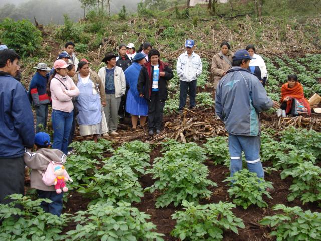 Mi Finca Integral Sostenible: PRACTICAS AGROECOLOGICAS ...