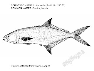 Angling: Target species: Garrick