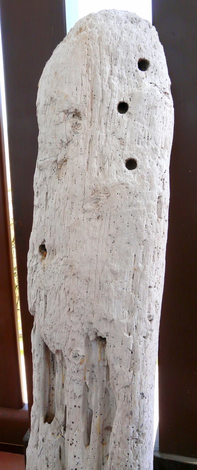 Bando alle ciance.. bado alle cince!: Xilopa violacea o APE LEGNAIOLA...