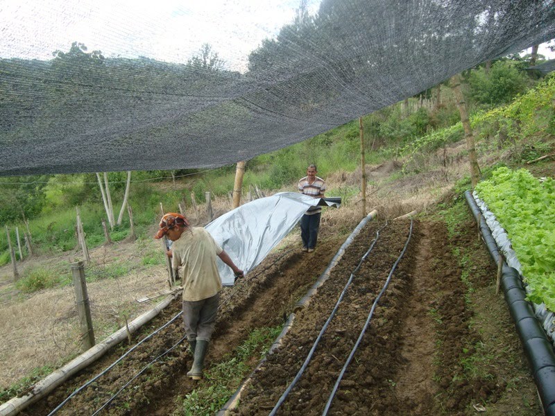 JOVENES RURALES EMPRENDEDORES: LA NUEVA OLA DE LAS GRANJAS INTEGRALES ...