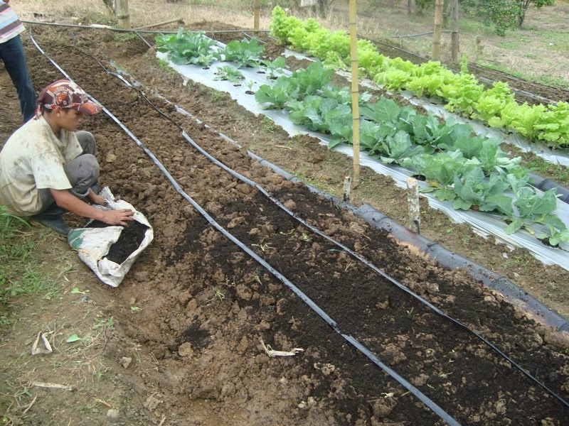 JOVENES RURALES EMPRENDEDORES: LA NUEVA OLA DE LAS GRANJAS INTEGRALES ...