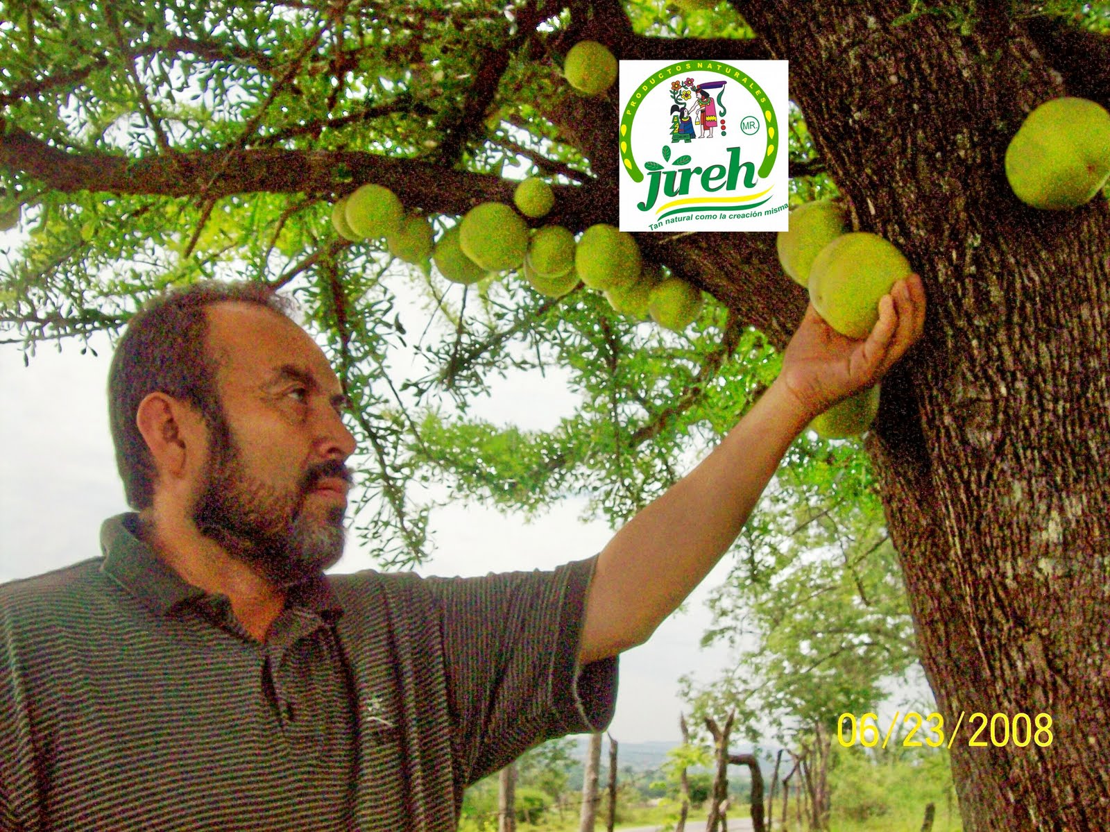 CUATECOMATE TÓNICO PULMONAR JIREH