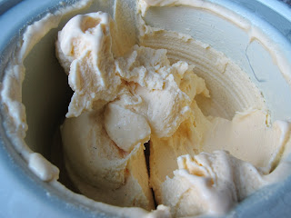 Food & Travel with Maria: Homemade vanilla gelato