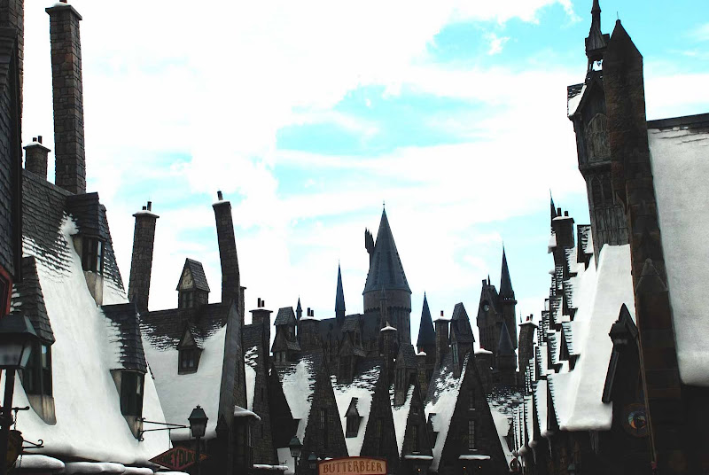 Vol. 1: Life and Times of...: The Wizarding World Of Harry Potter