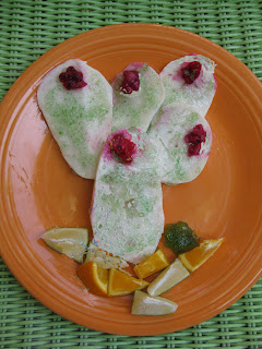 Wild Desert Cook Book