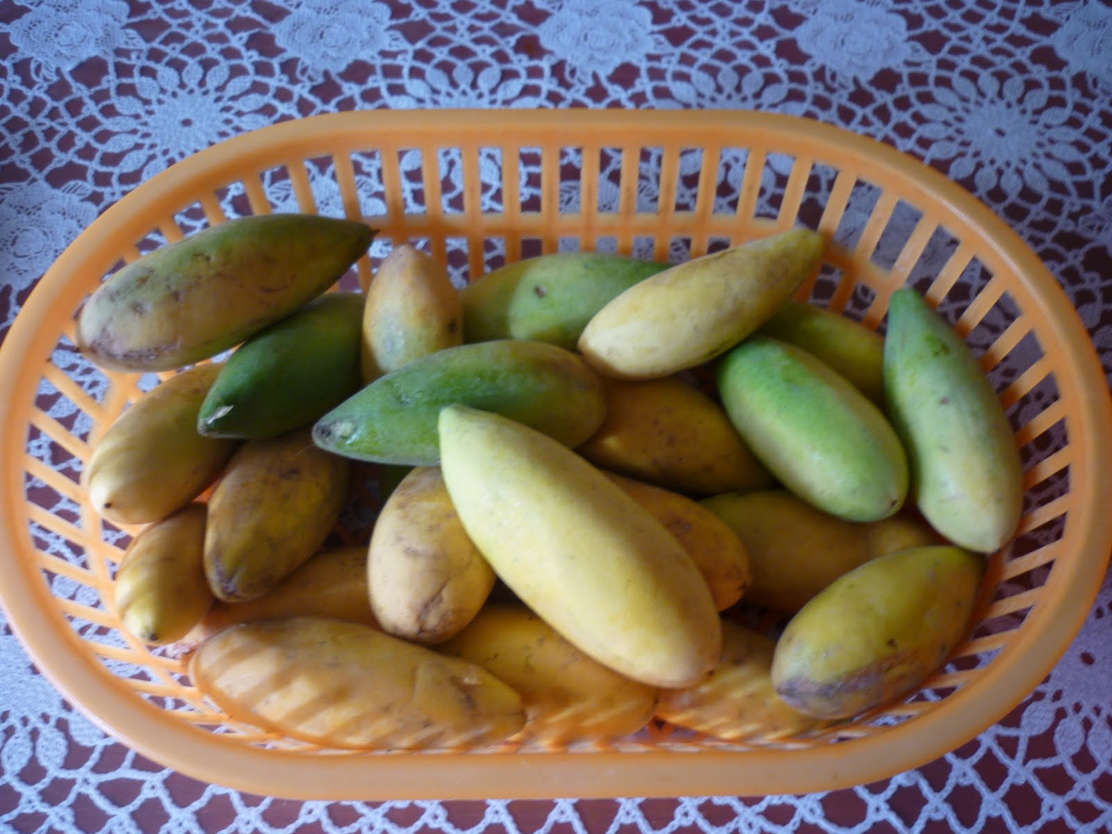 Imágenes Cajamarca: Cosecha de Poro Poro