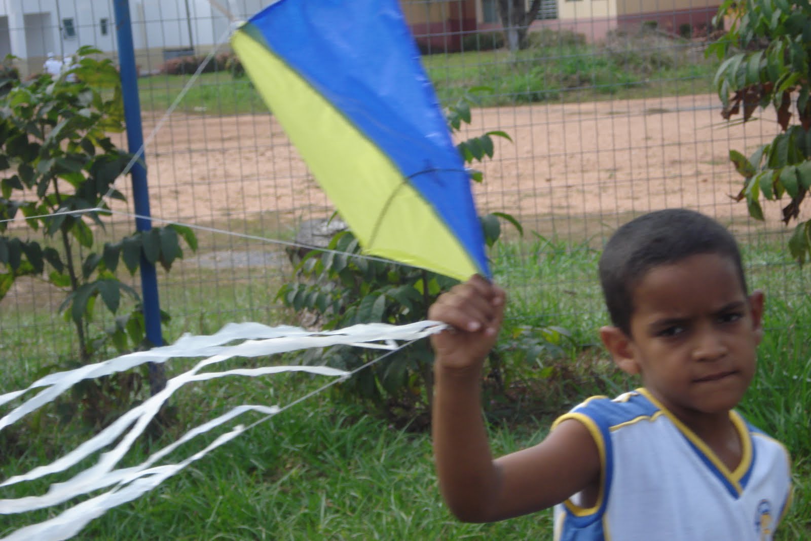 Educando Com Amor: Confeccionando e soltando pipa.