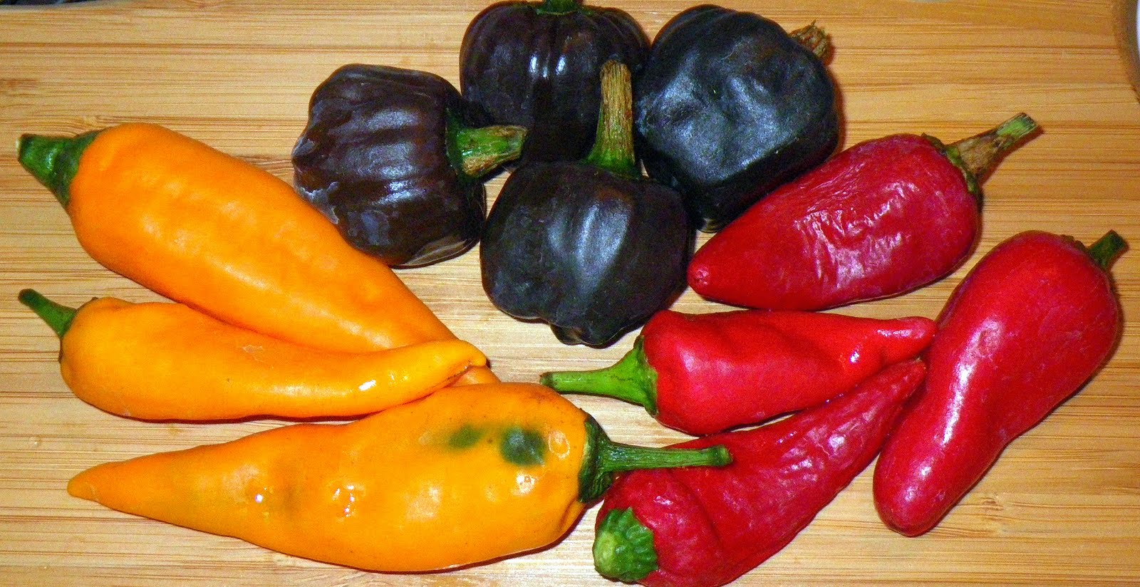 Peppermania Texas: The Chiles of Oaxaca