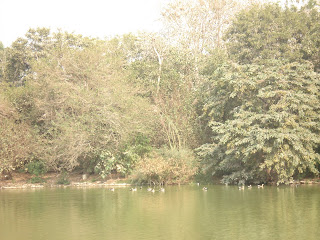 Crazy Dil Se: Tilyar Lake:Tourist spot in Rohtak