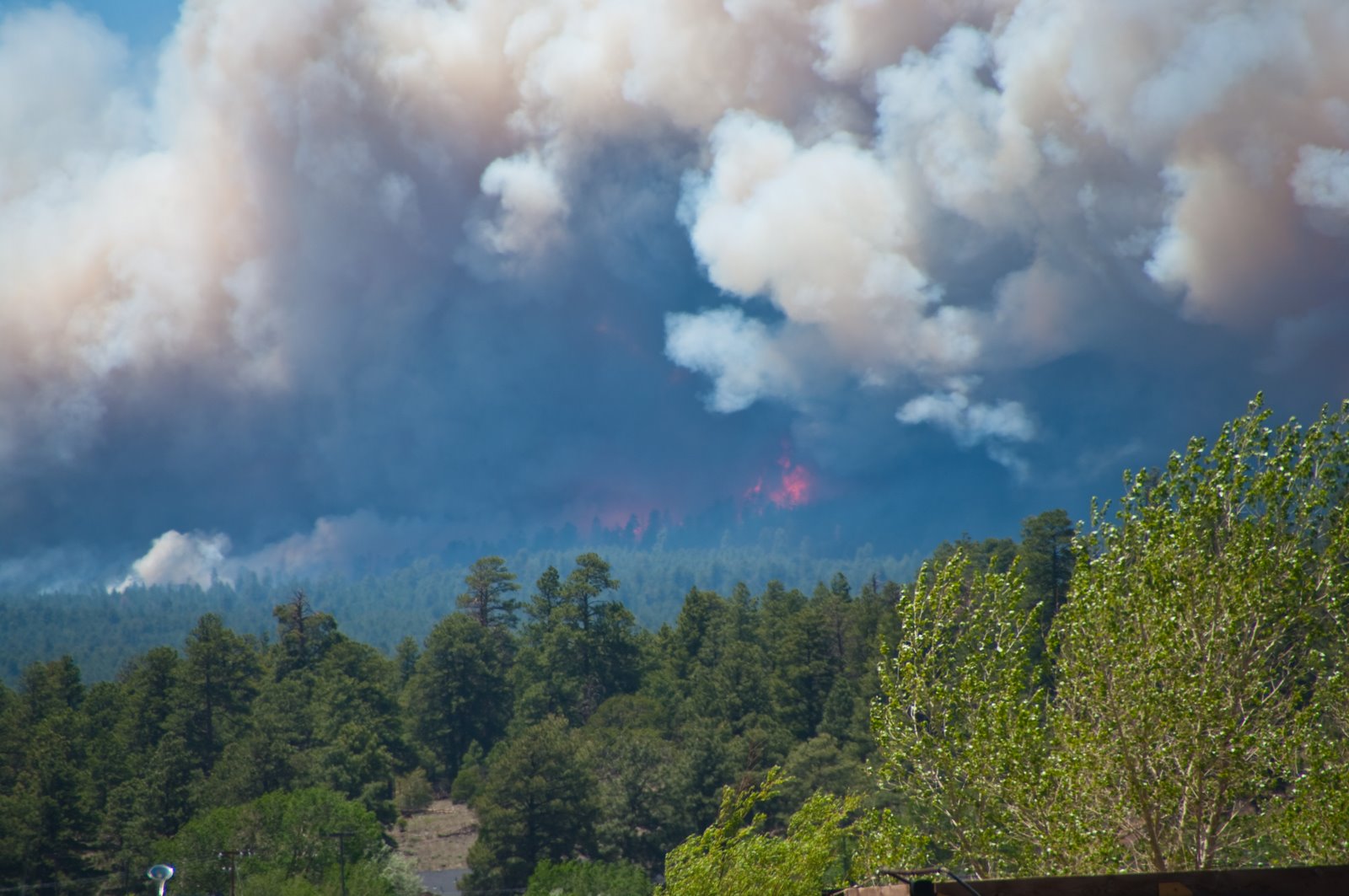 deborah's photo blog: Schultz Fire, Flagstaff