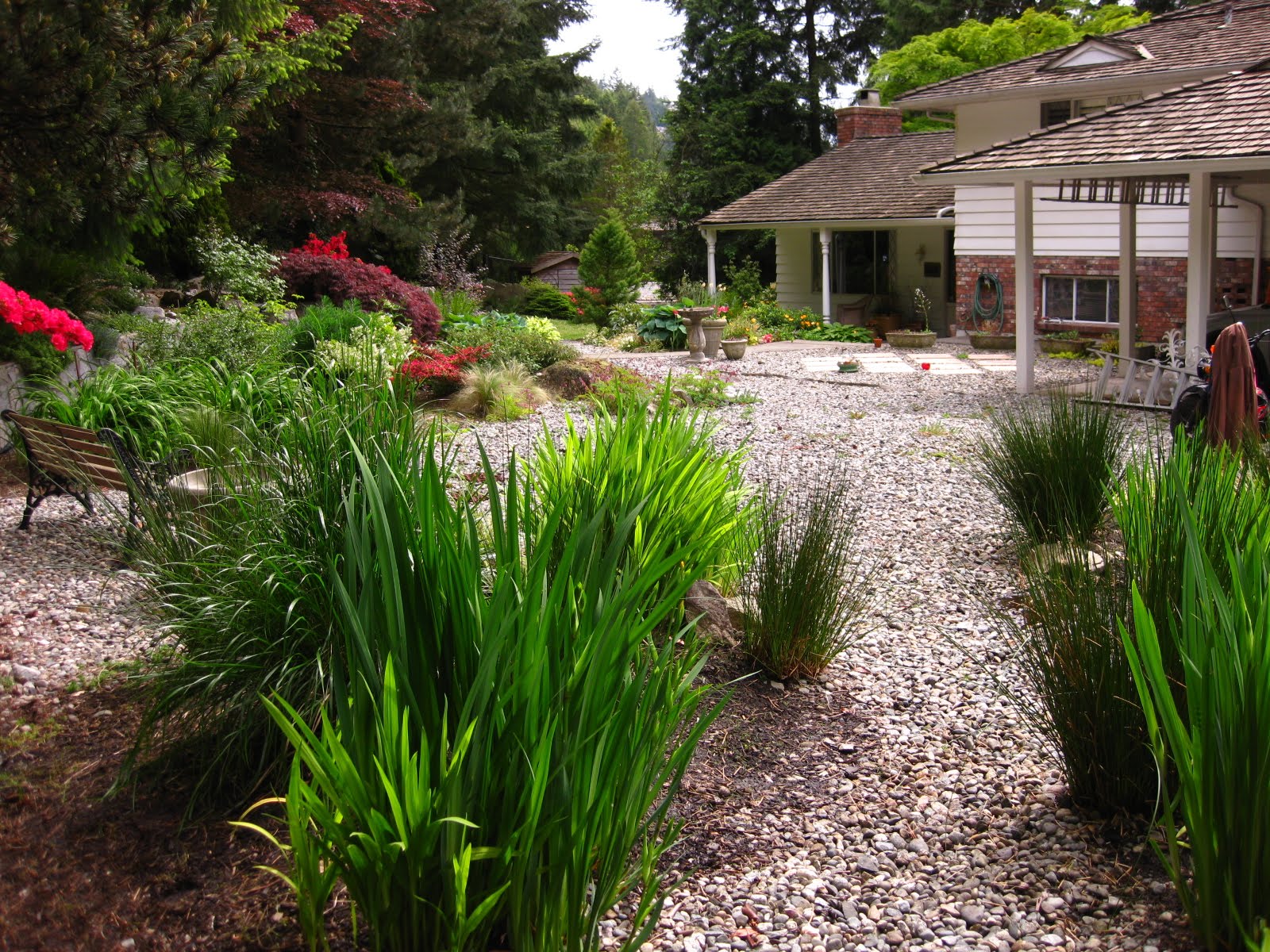 The Bicycle-Gardening Chronicles...: Garden Swale