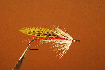 Maine Flyfishing: So what flies are good at GLS?