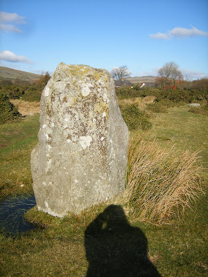 Codlins and Cream: The Preseli hills - where the Bluestones came from