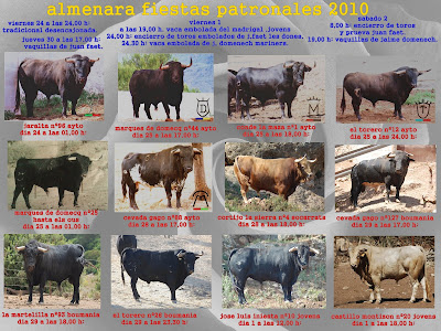 ESPAI TAURÍ: septiembre 2010