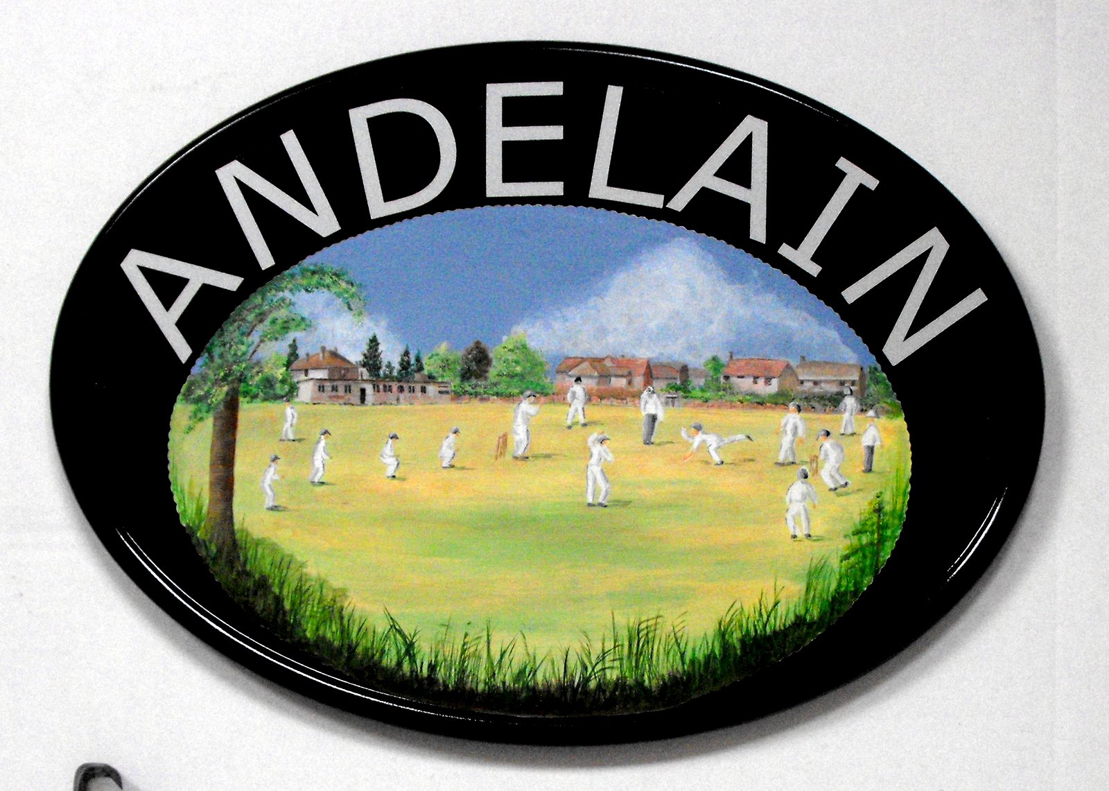 Pictorial House Signs from Yoursigns Ltd: Cricket Match house sign