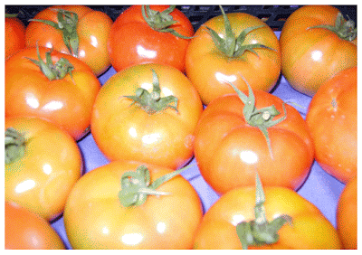 Productos Hortofrutícolas de Almería: marzo 2010