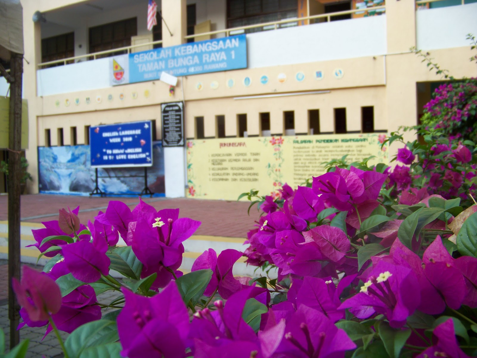 Sekolah Kebangsaan Taman Bunga Raya (1): PANORAMA