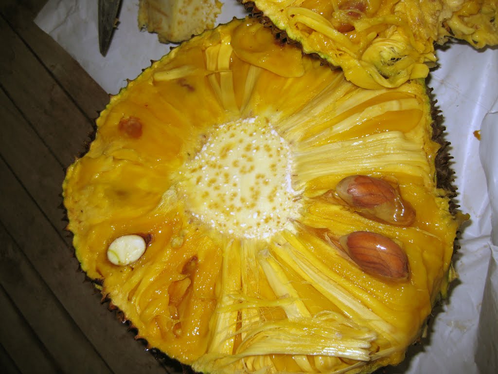 Aux Frontières de l'Inde: Le Jacquier alias Le Jack-fruit