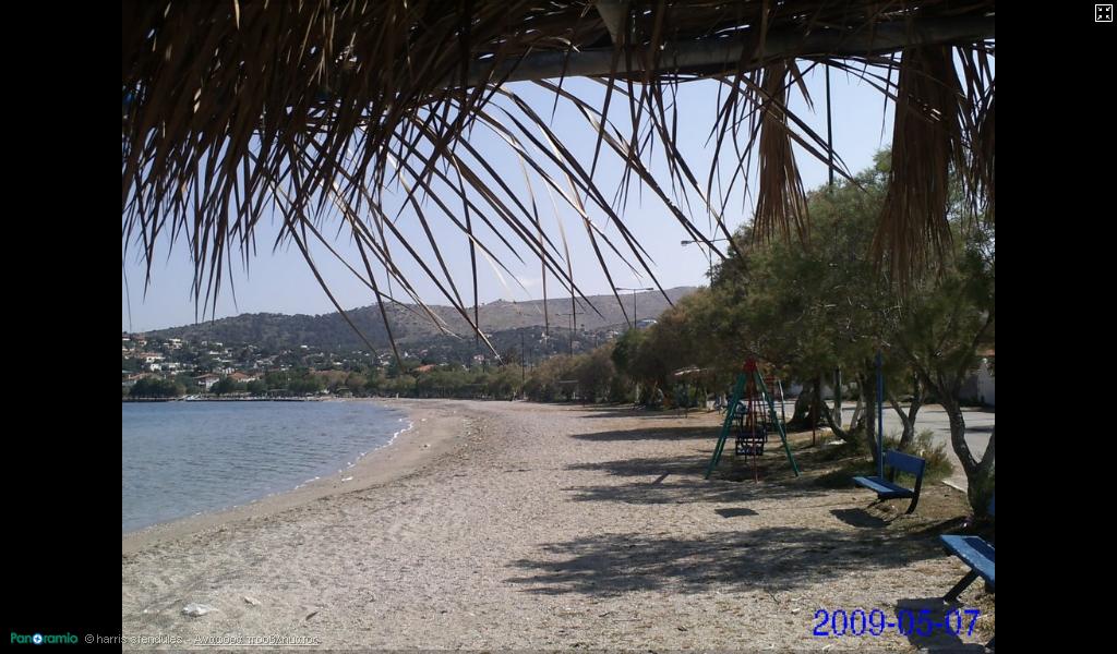 ΣΑΛΑΜΙΝΑ ΒΑΣΙΛΙΚΑ SALAMINA VASILIKA BASILIKA ΣΑΛΑΜΙΝΟΣ ΠΑΡΑΛΙΑ ΠΑΡΑΛΙΕΣ ...