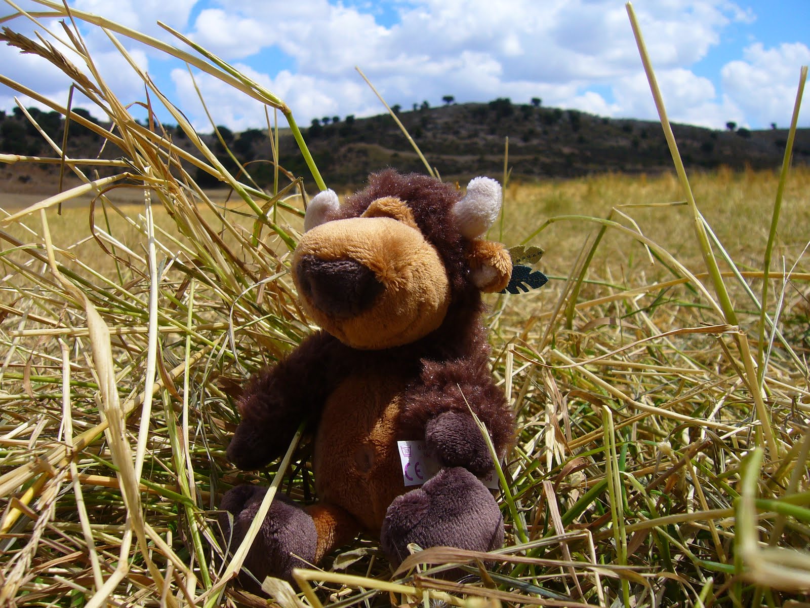 Mis Peluches Nici: agosto 2010