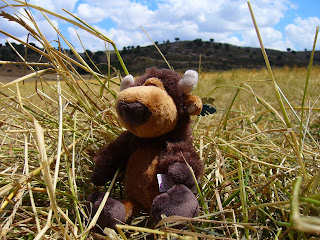 Mis Peluches Nici: agosto 2010