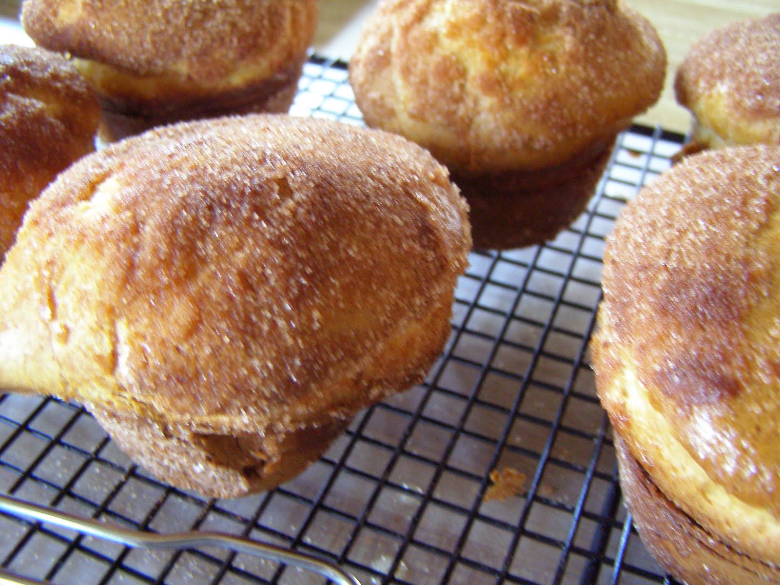 Young Adventures...: Cinnamon Sugar Puffs